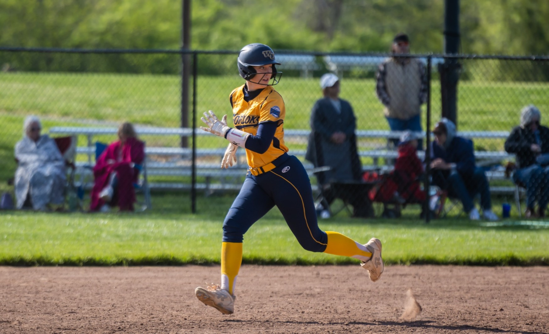 Kaley Adzick - Softball - Webster University Athletics