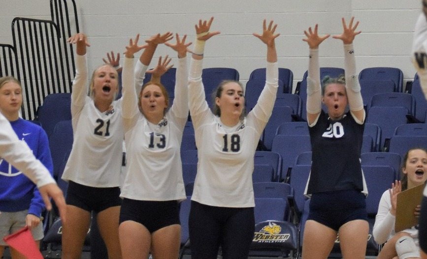 Delaney Demman - Volleyball - Webster University Athletics