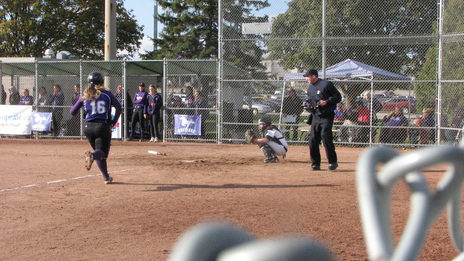 Tricia MacKay - Softball - Western Mustangs Sports