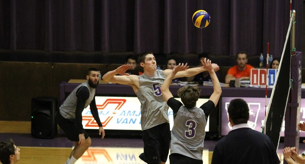 Chris Newcombe - Men's Volleyball - Western Mustangs Sports