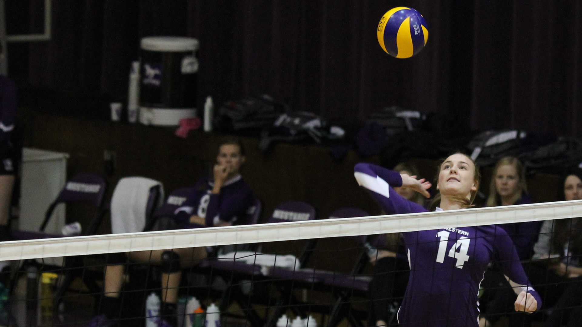 Kelsey Veltman - Women's Volleyball - Western Mustangs Sports