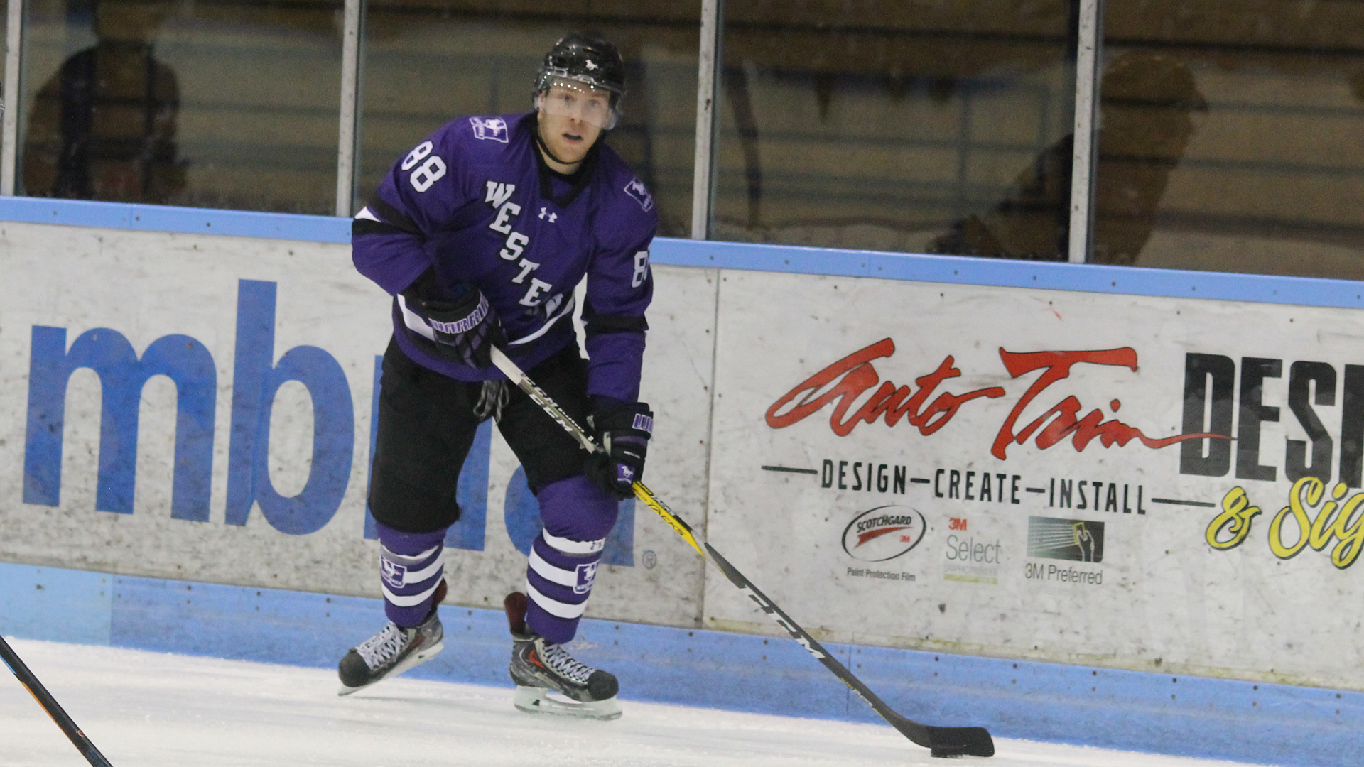 Andrew Goldberg - Men's Hockey - Western Mustangs Sports