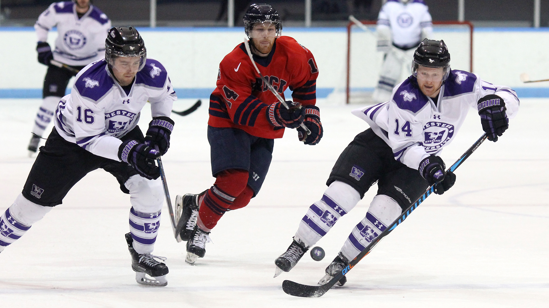 Mitchell Brooks - Men's Hockey - Western Mustangs Sports