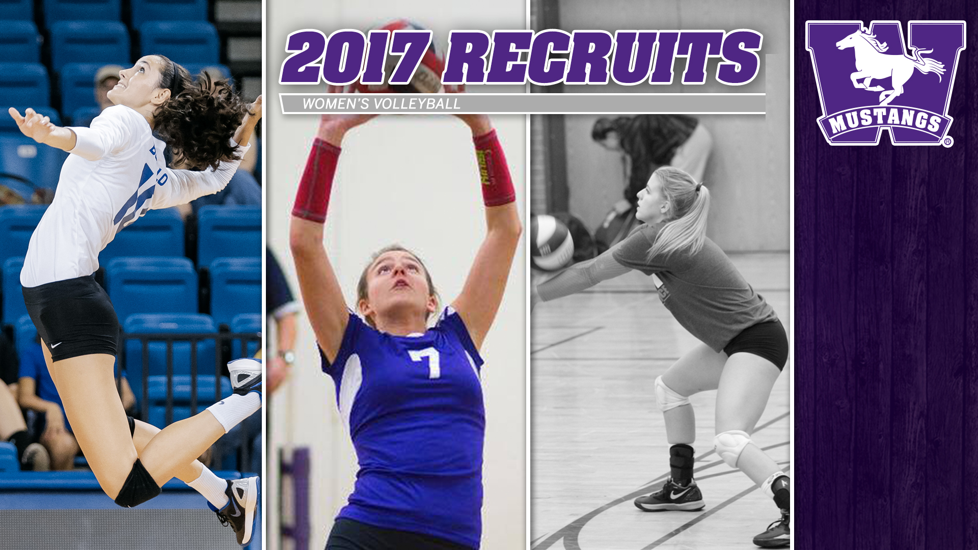 Women's Volleyball adds three recruits to 2017 recruiting class ...