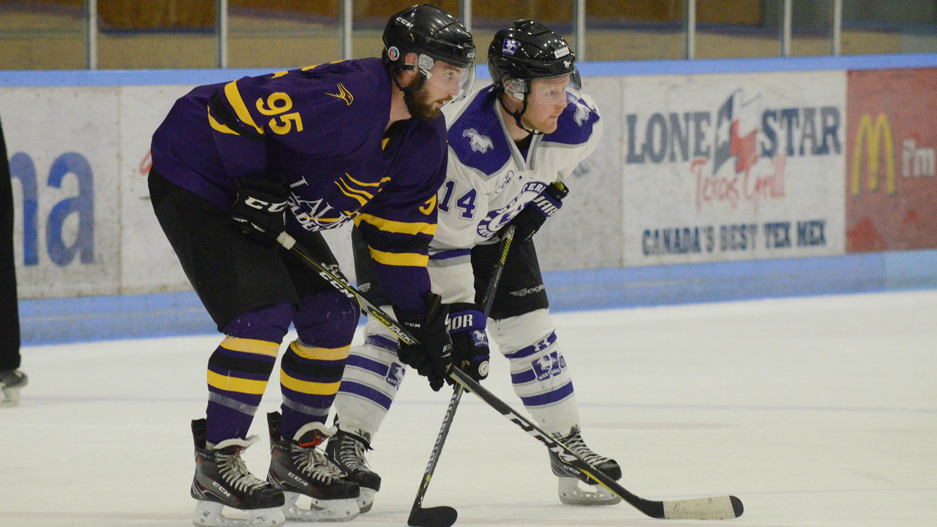 Mitchell Brooks - Men's Hockey - Western Mustangs Sports