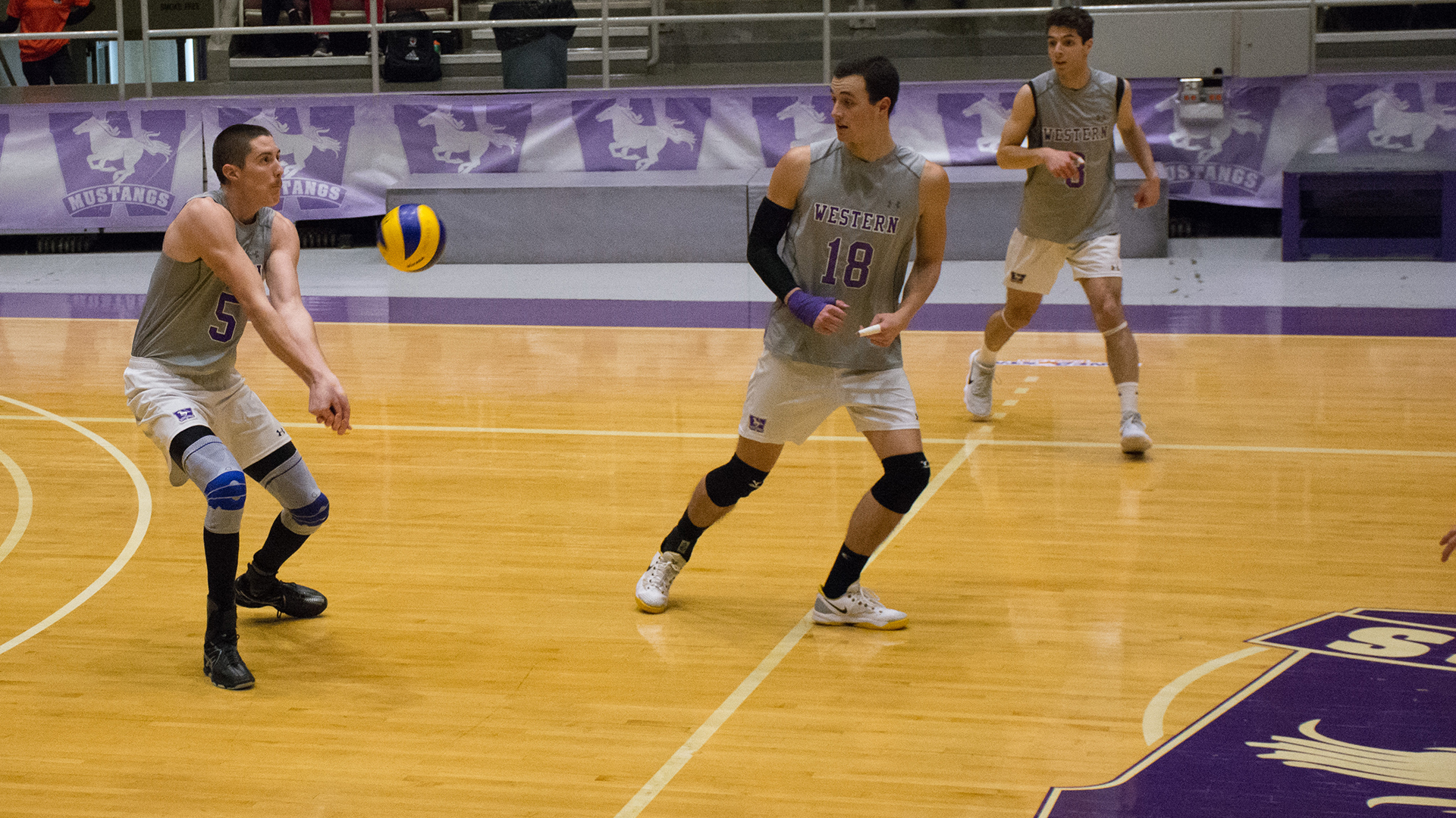 Chris Newcombe - Men's Volleyball - Western Mustangs Sports