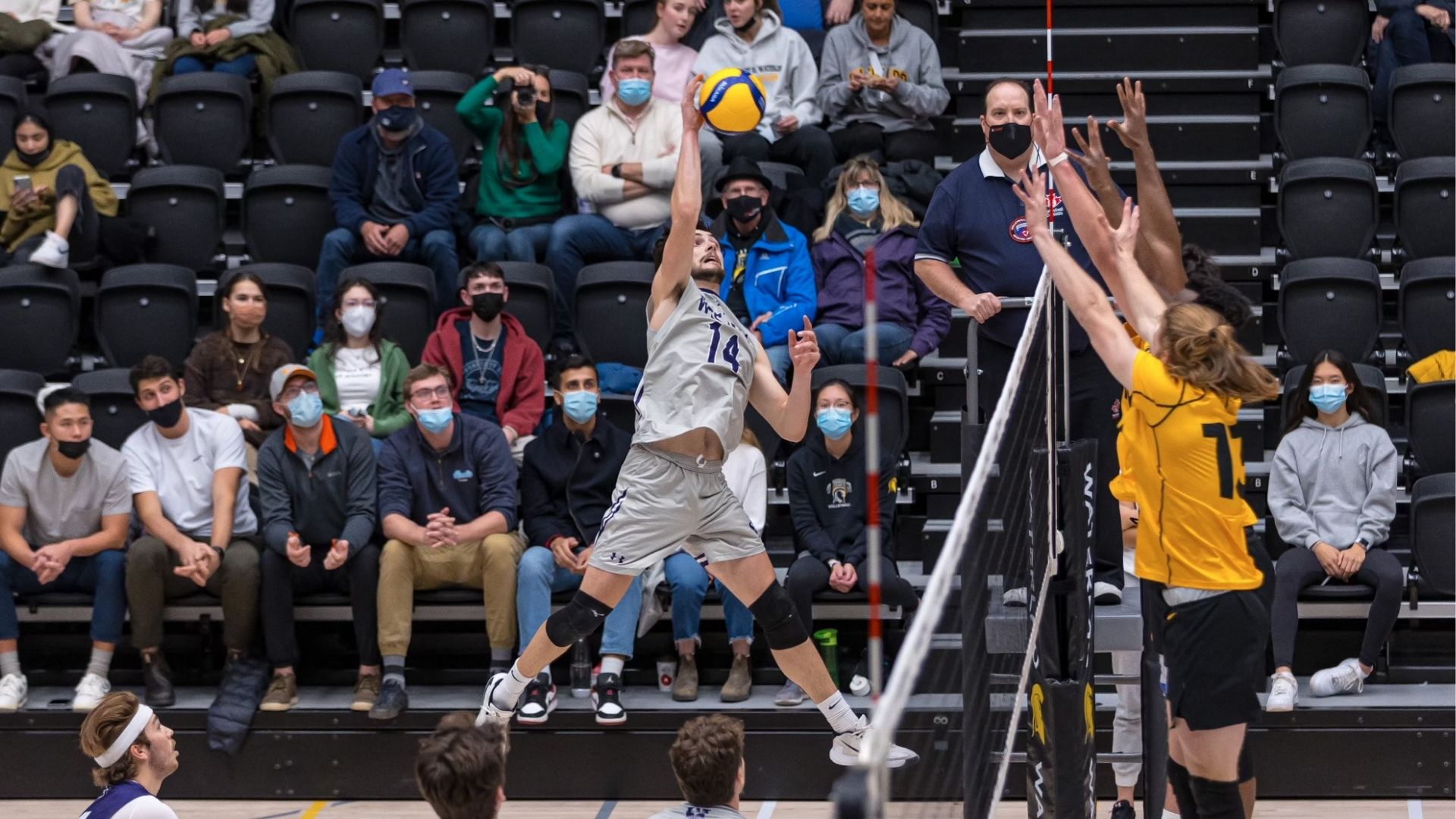Blake Fenwick - Men's Volleyball - Western Mustangs Sports