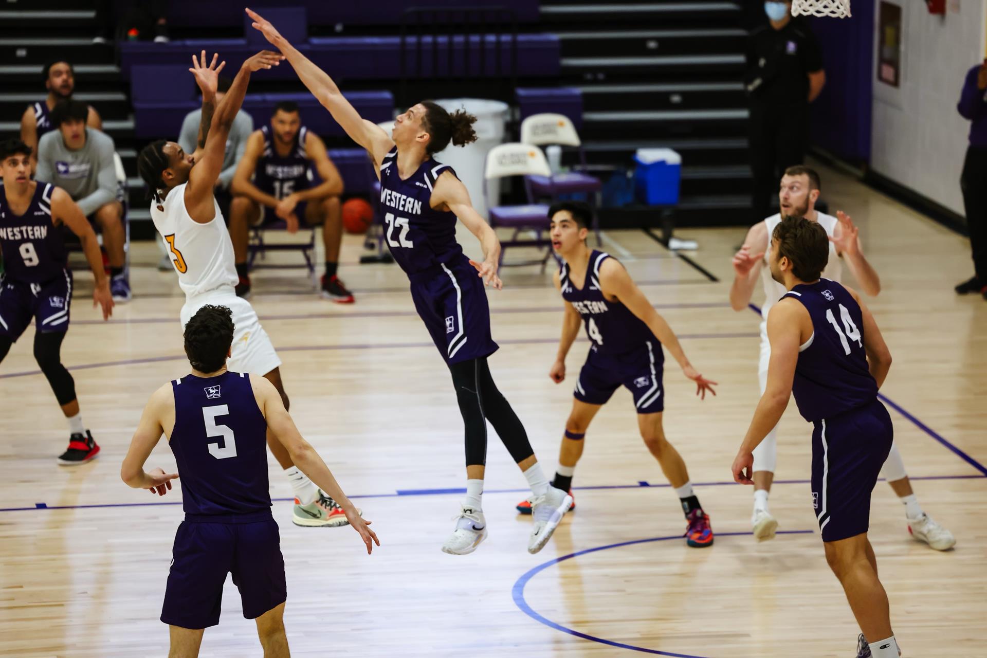 Mustangs go down in back-to-back games against Laurier. - Western ...