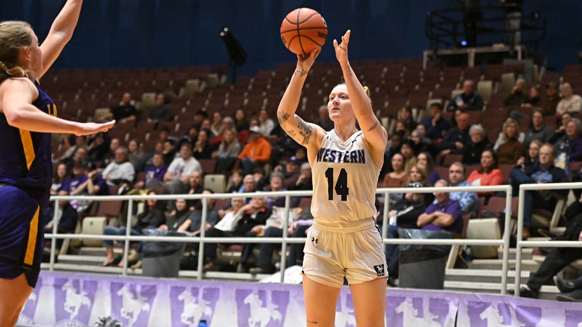 Brett Fischer - Women's Basketball - Western Mustangs Sports