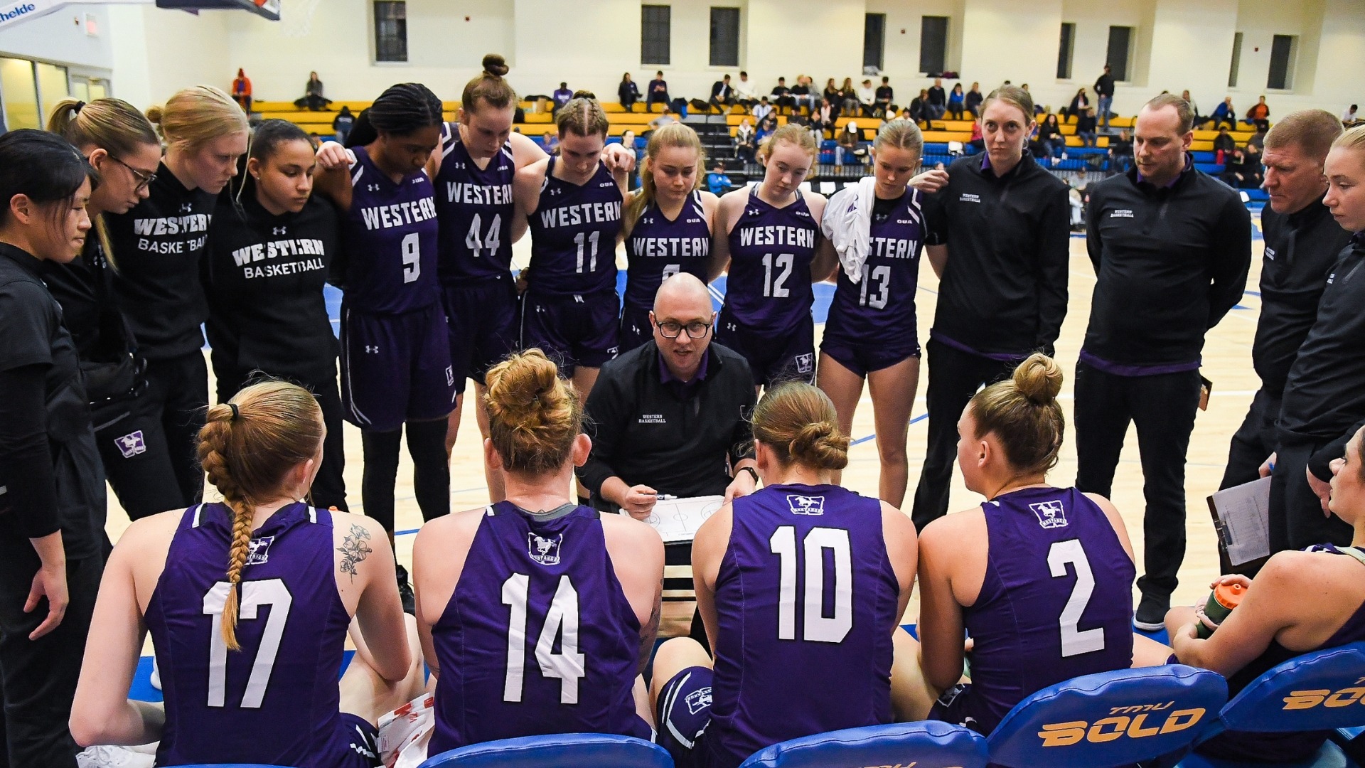 Mustangs put up a fight but ultimately fall 69-46 to TMU - Western ...