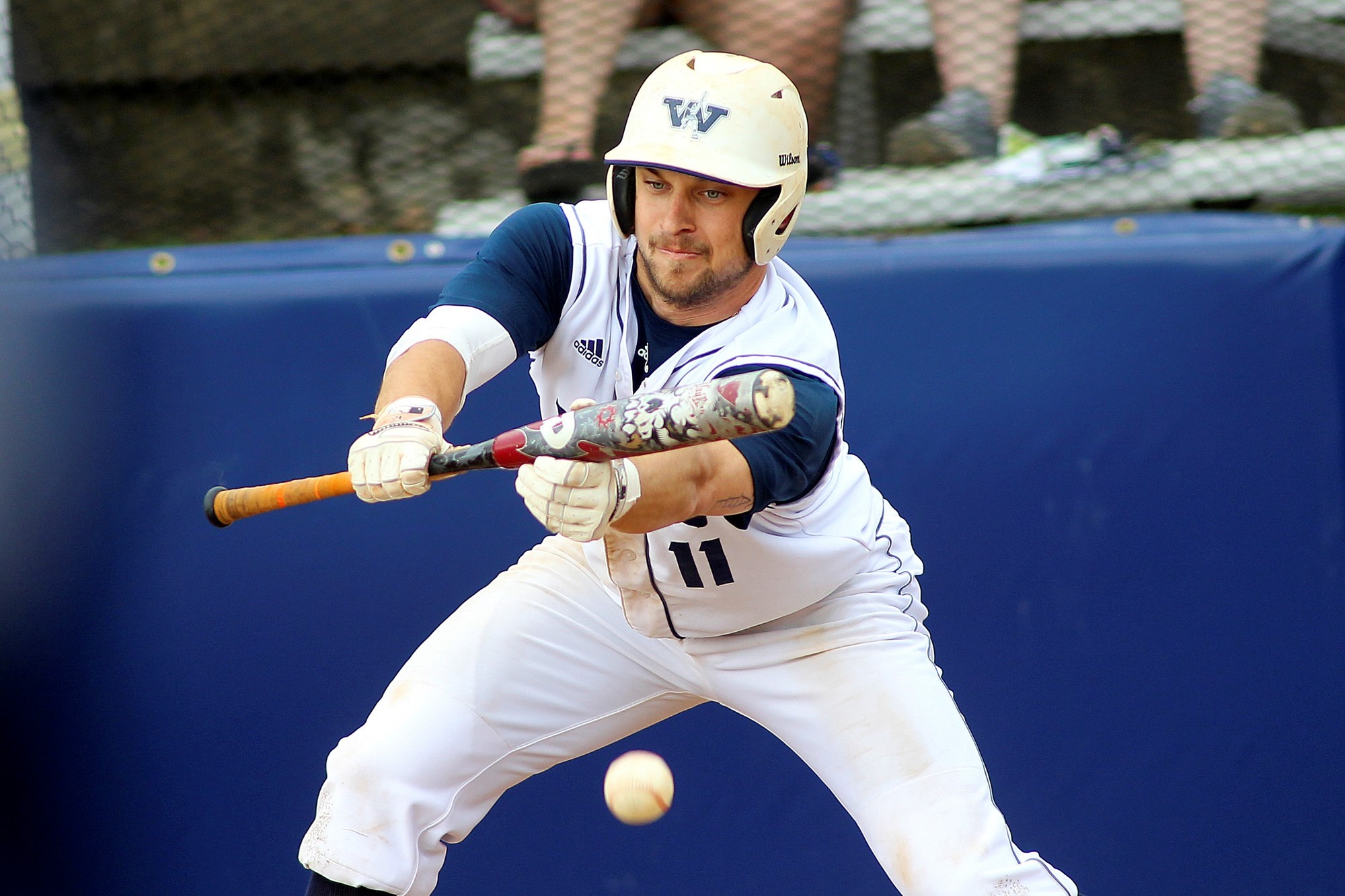 Joseph Salmen - 2018 - Baseball - Westminster College Athletics