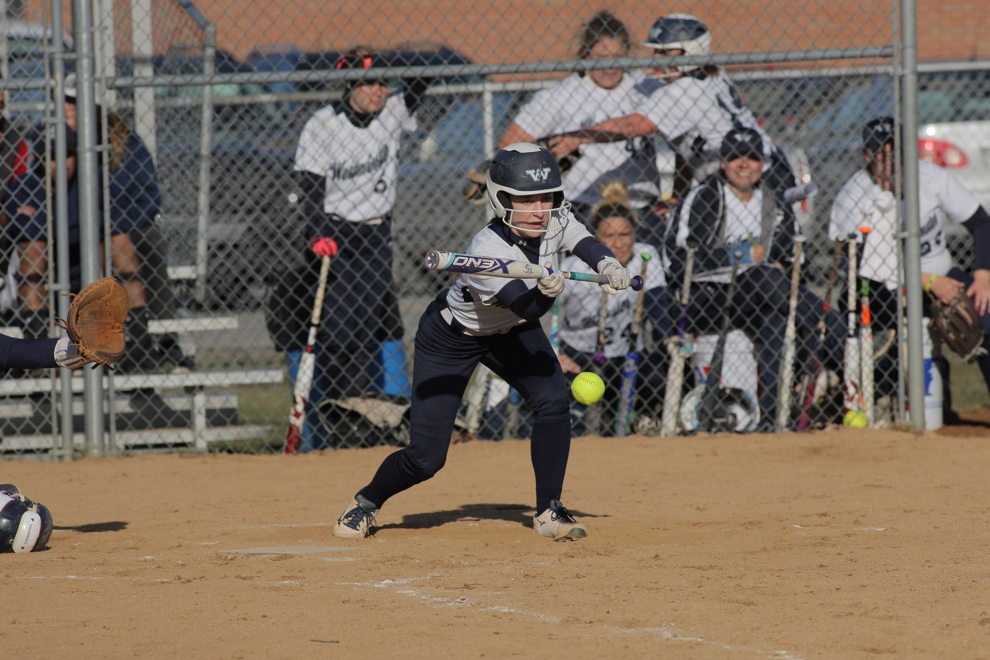 Hannah Ritter - 2018 - Softball - Westminster College Athletics