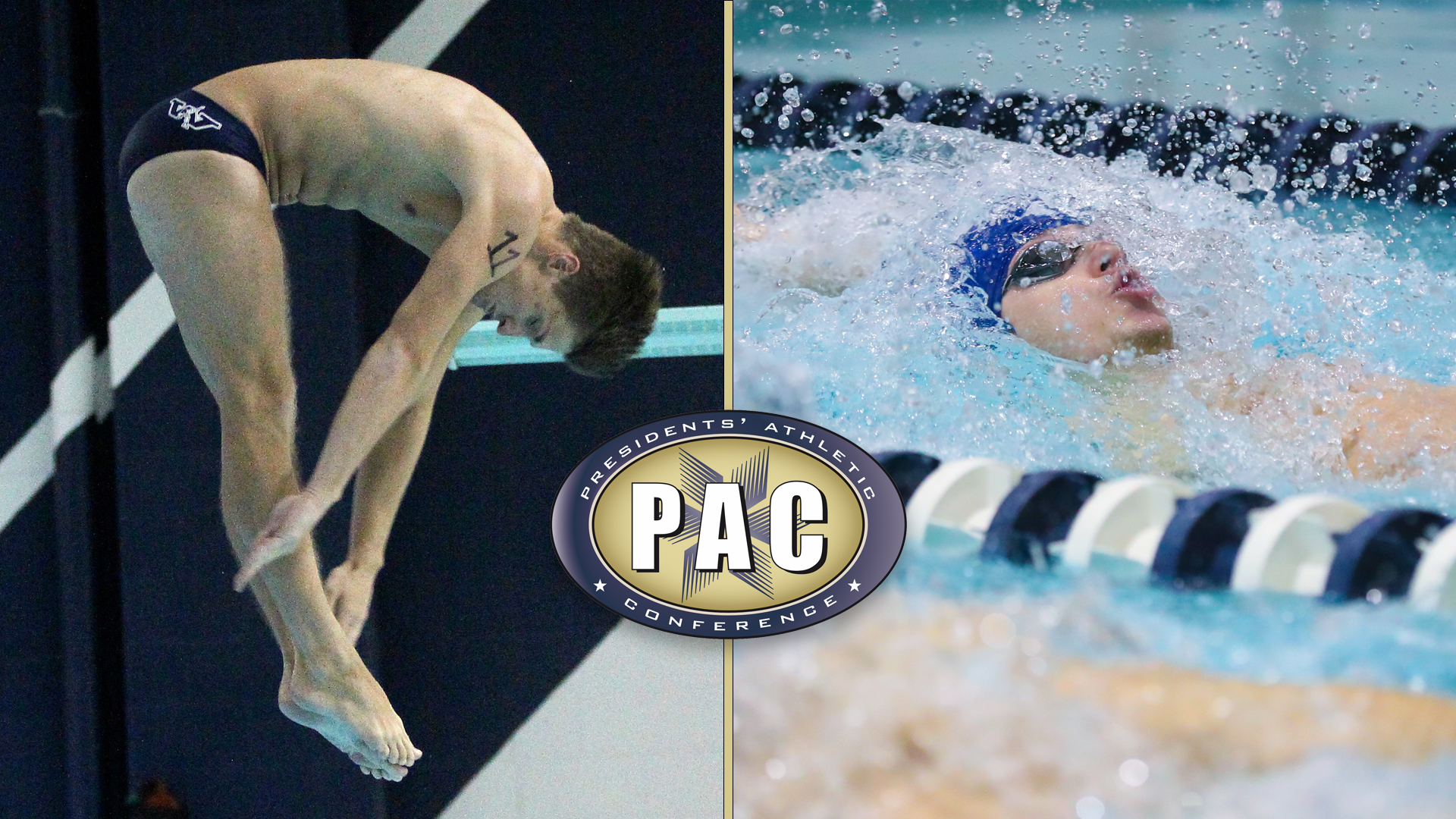Men’s Swimming and Diving: Titans Sweep PAC Weekly Awards - Westminster ...