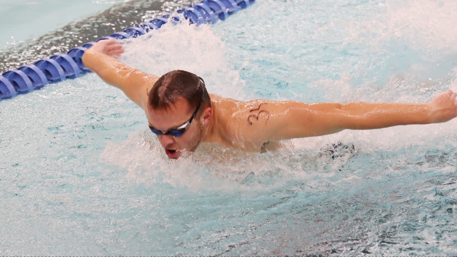 Hayne Webster - 2024-25 - Men's Swimming & Diving - Westminster College ...