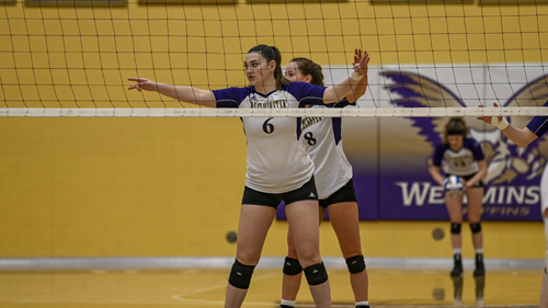 Taylor Harvey - Women's Volleyball - Westminster University Athletics