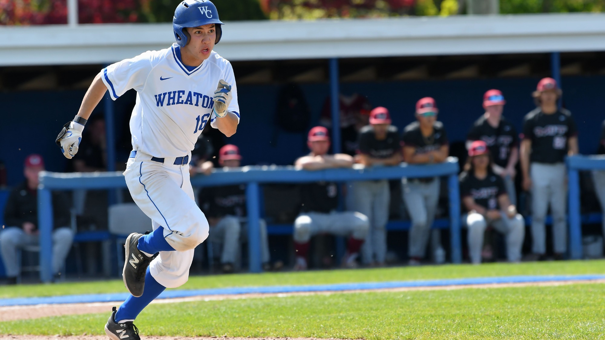 Tommy Ambrosone - 2024 - Baseball - Wheaton College (MA)