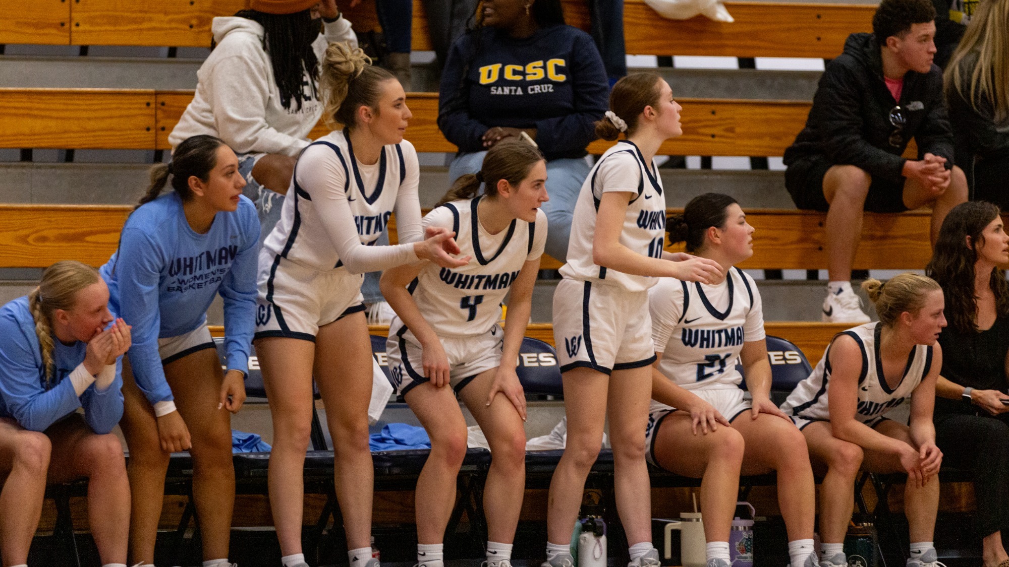 Women's Basketball Too Much For Lewis & Clark - Whitman College Athletics