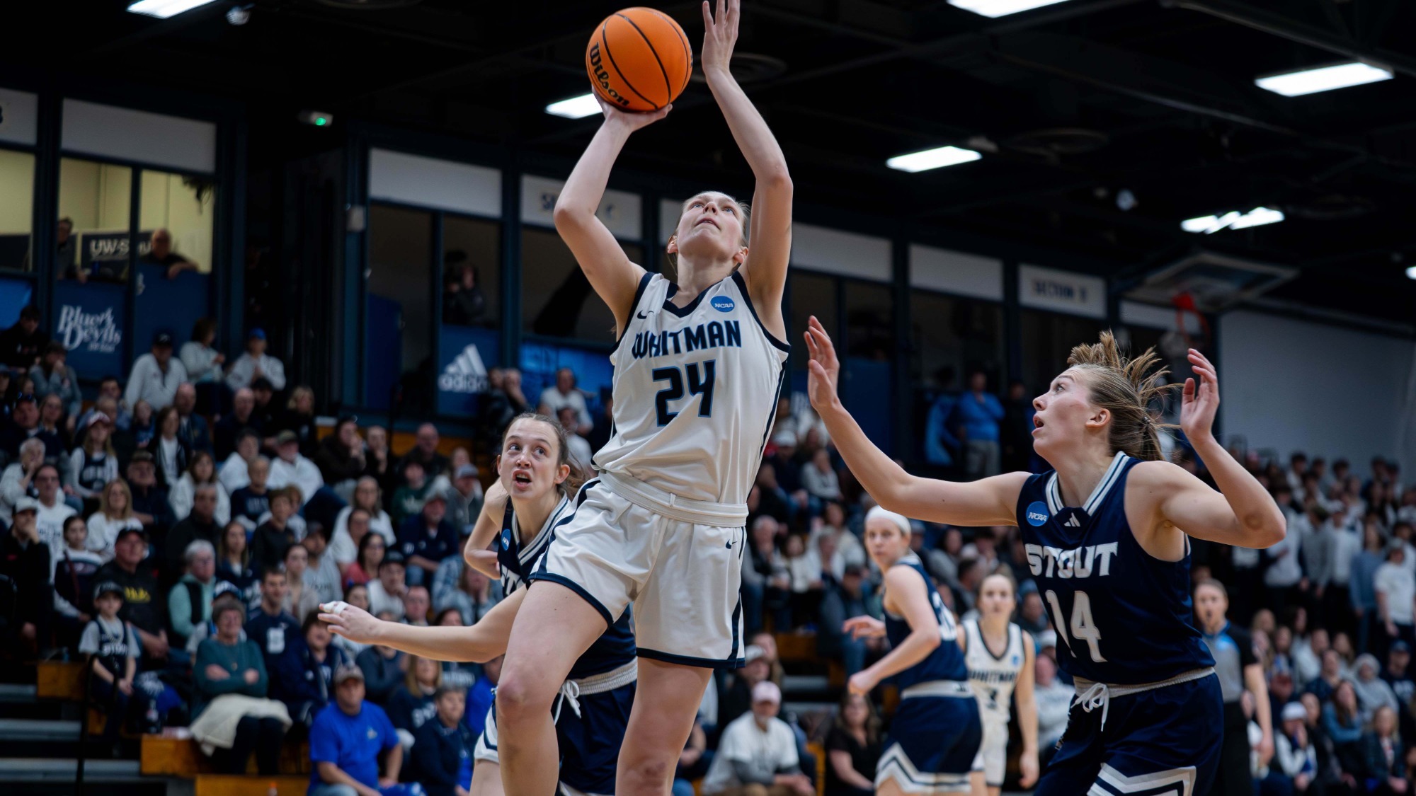 Baker, Martin, Ferenz Garner Regional And National Honors - Whitman ...