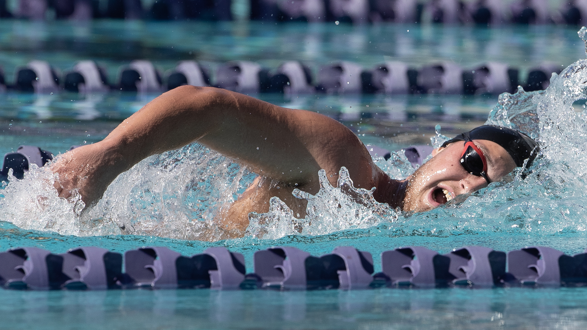 Langlois Leads Men's Swim & Dive in Return to Action in 2024 - Whittier ...