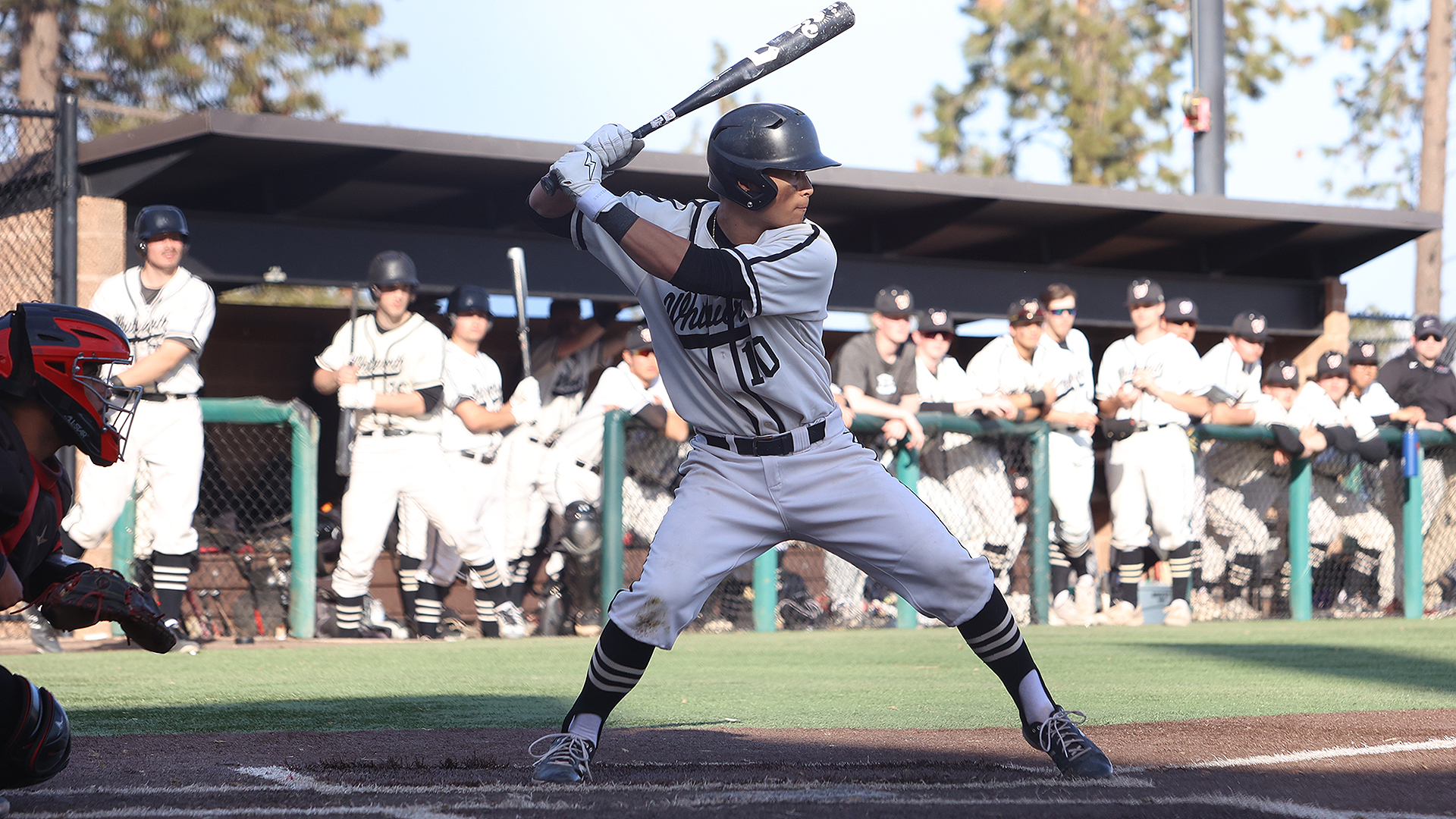 Baseball falls in series finale at Willamette - Whitworth University