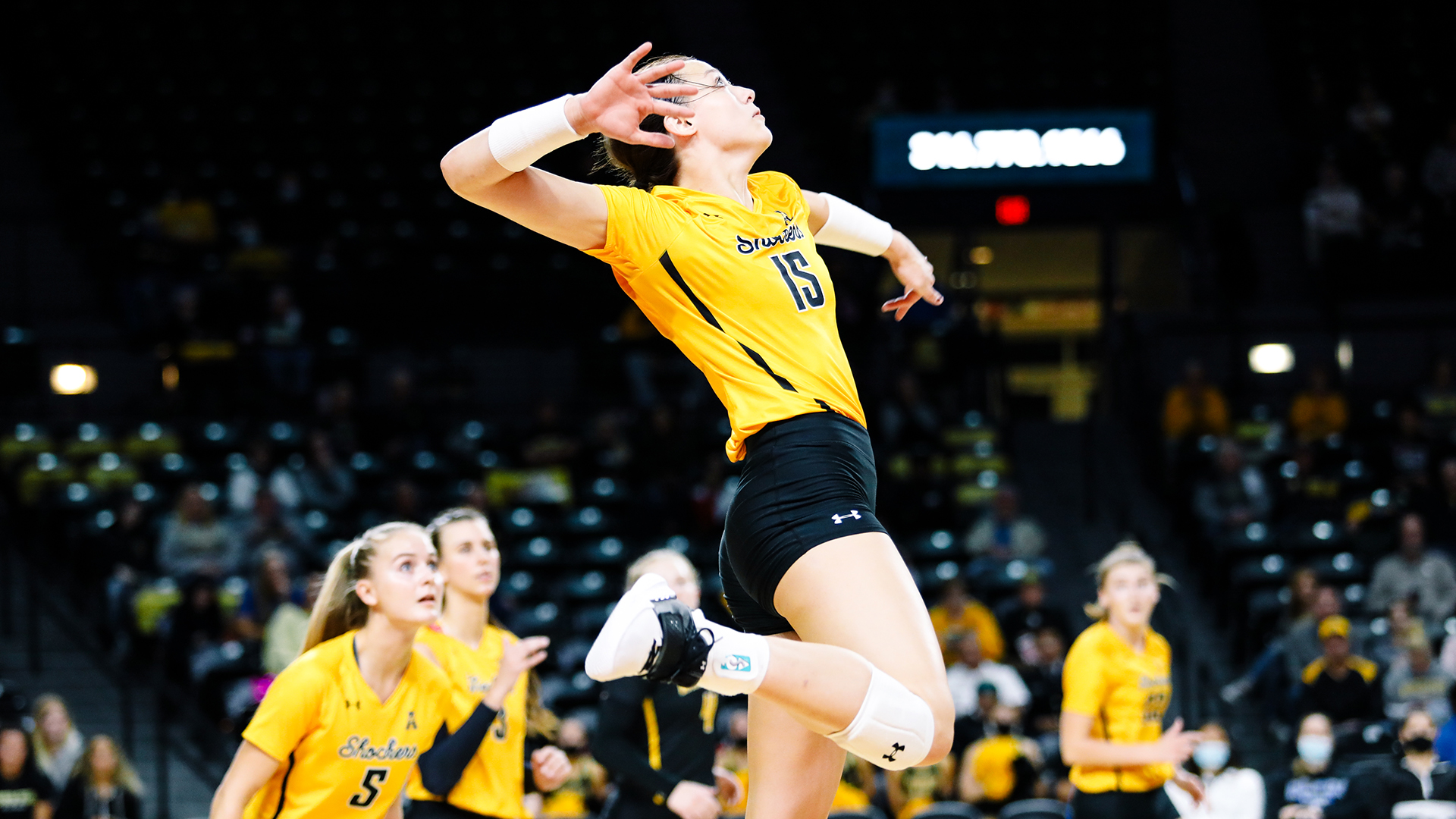 Morgan Stout - Volleyball - Wichita State Athletics