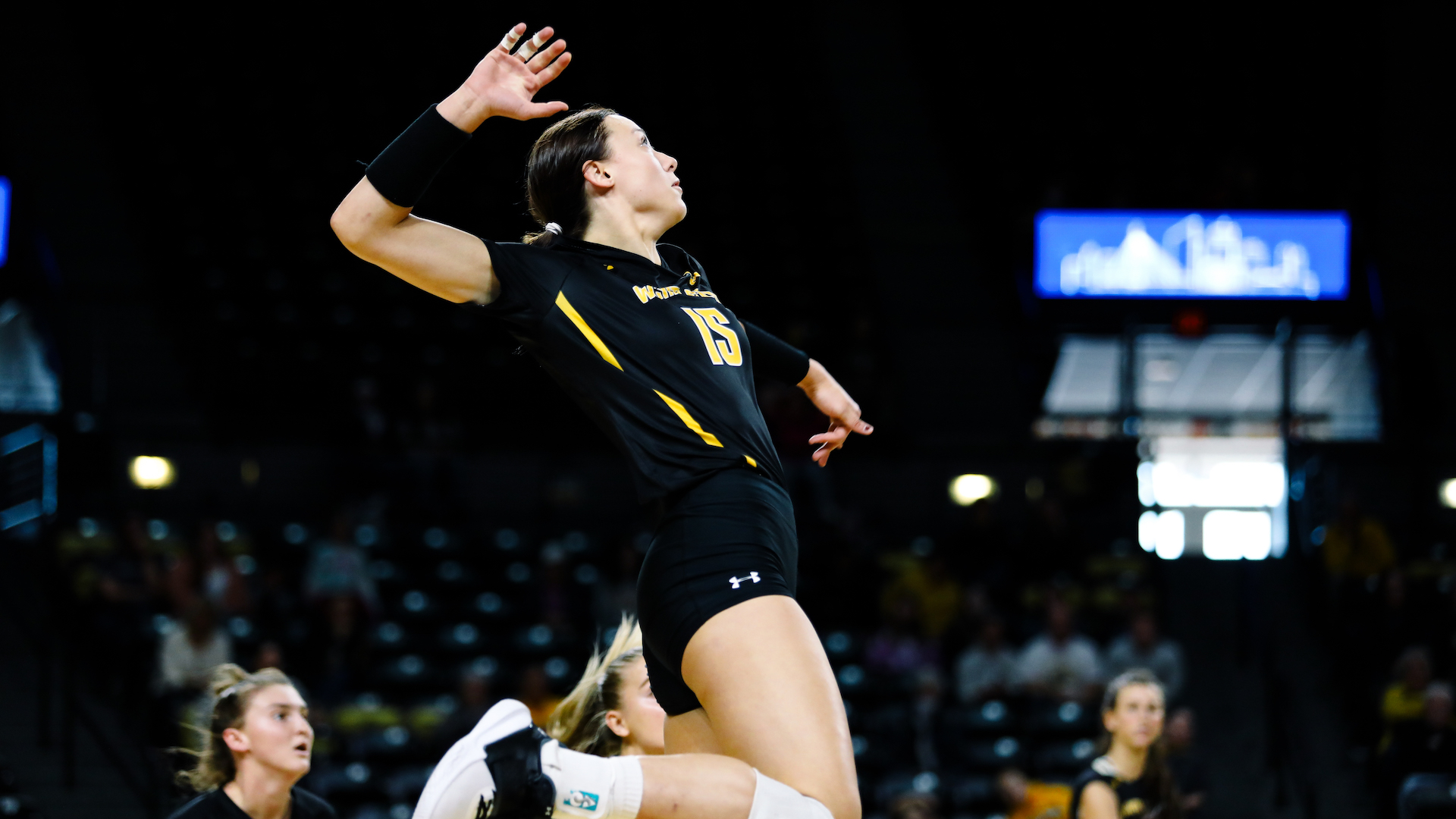 Morgan Stout - Volleyball - Wichita State Athletics