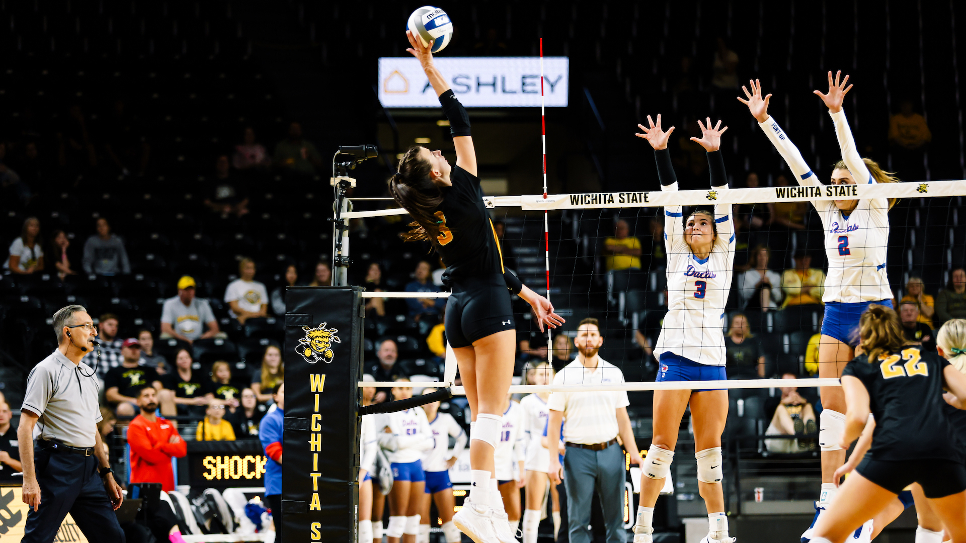 Brylee Kelly - Volleyball - Wichita State Athletics