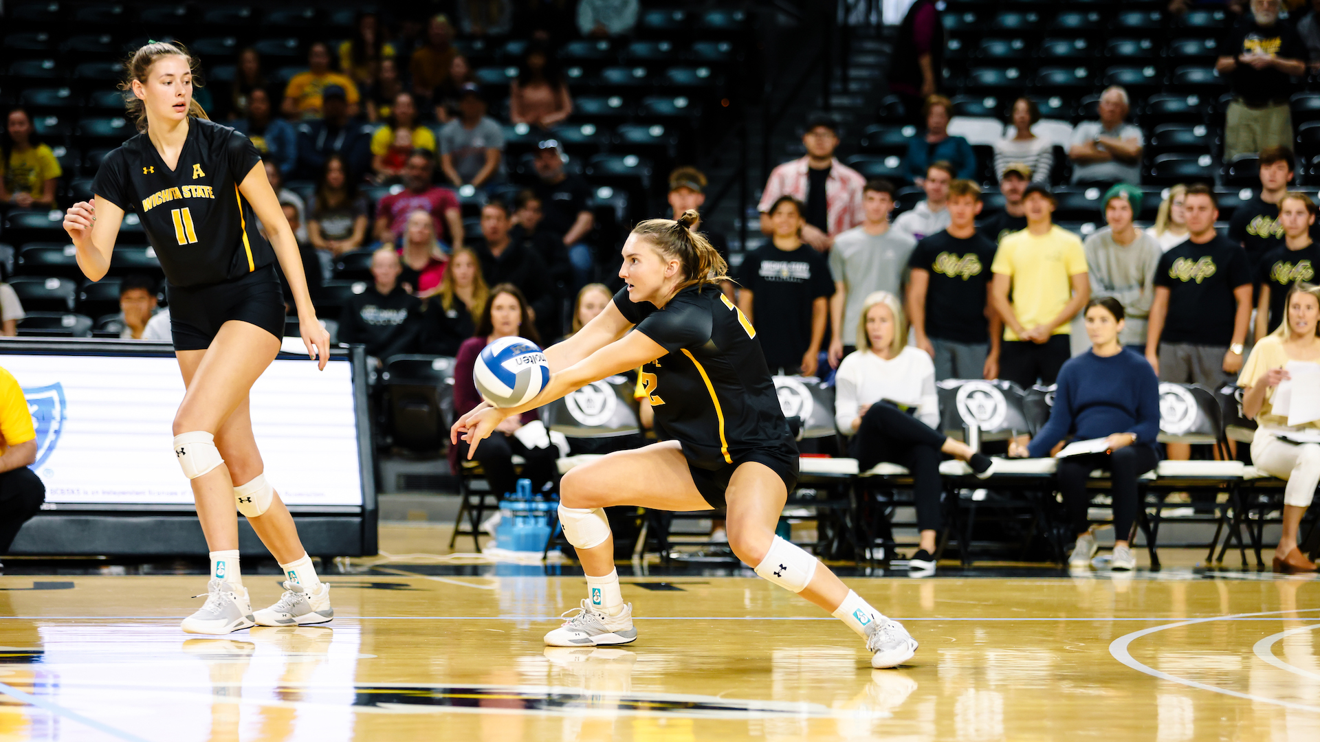 Morgan Weber - Volleyball - Wichita State Athletics
