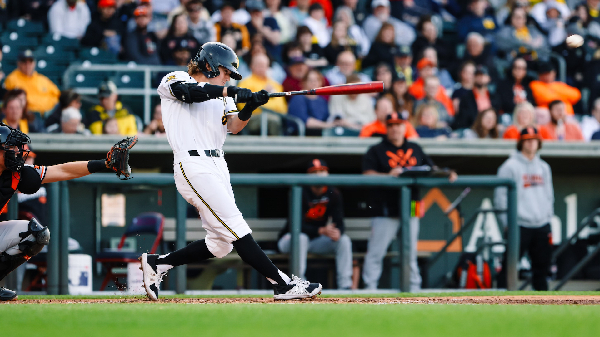 Brock Rodden - Baseball - Wichita State Athletics