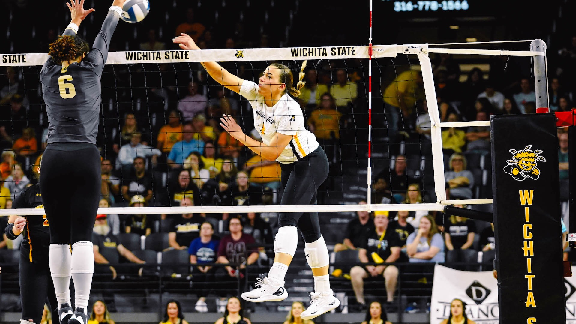Barbara Koehler - Volleyball - Wichita State Athletics