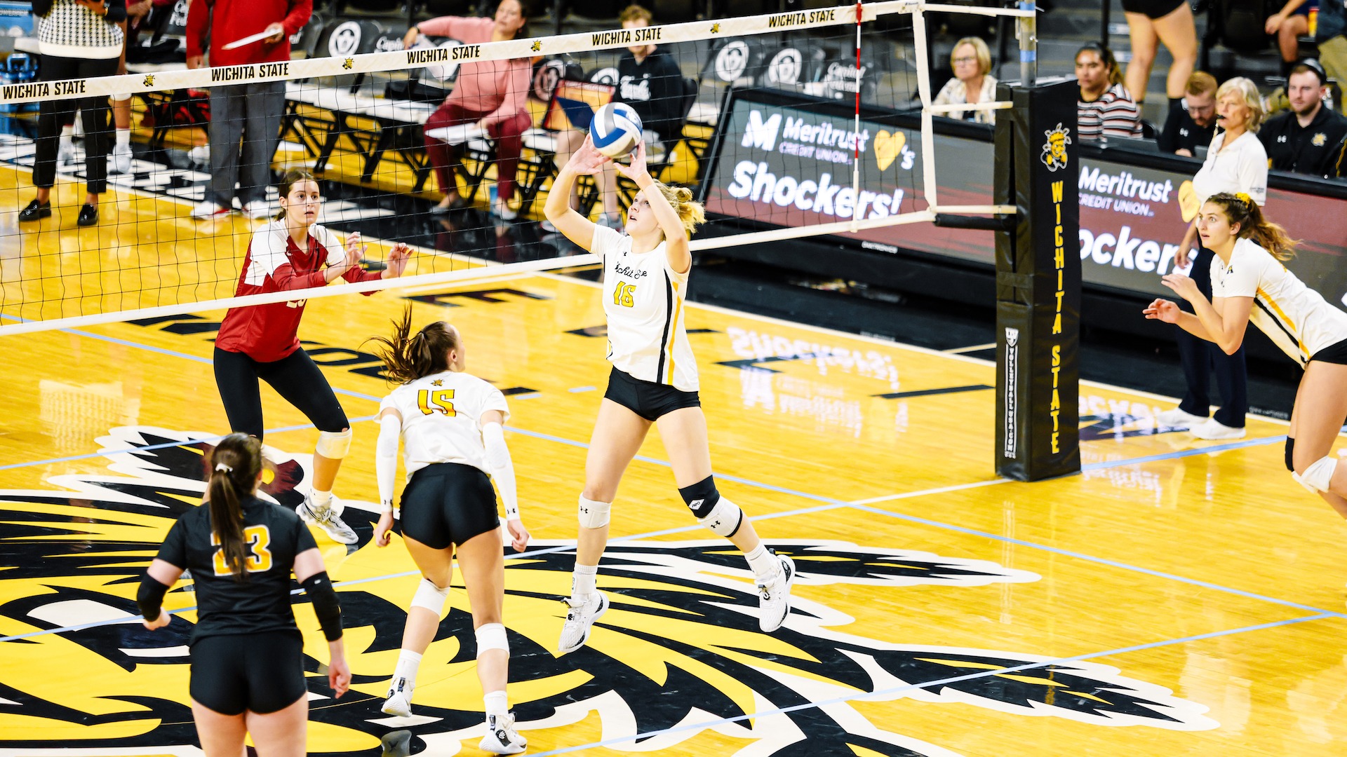 Izzi Strand - Volleyball - Wichita State Athletics