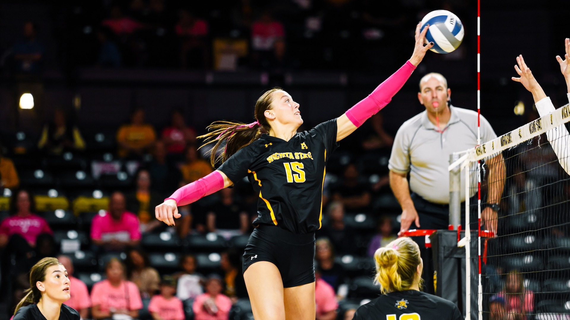 Morgan Stout - Volleyball - Wichita State Athletics