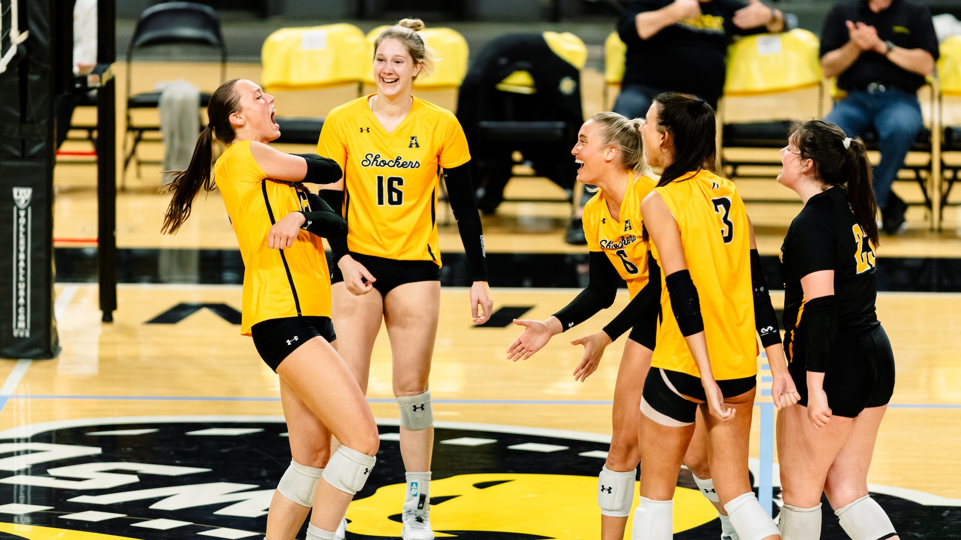 Morgan Stout - Volleyball - Wichita State Athletics