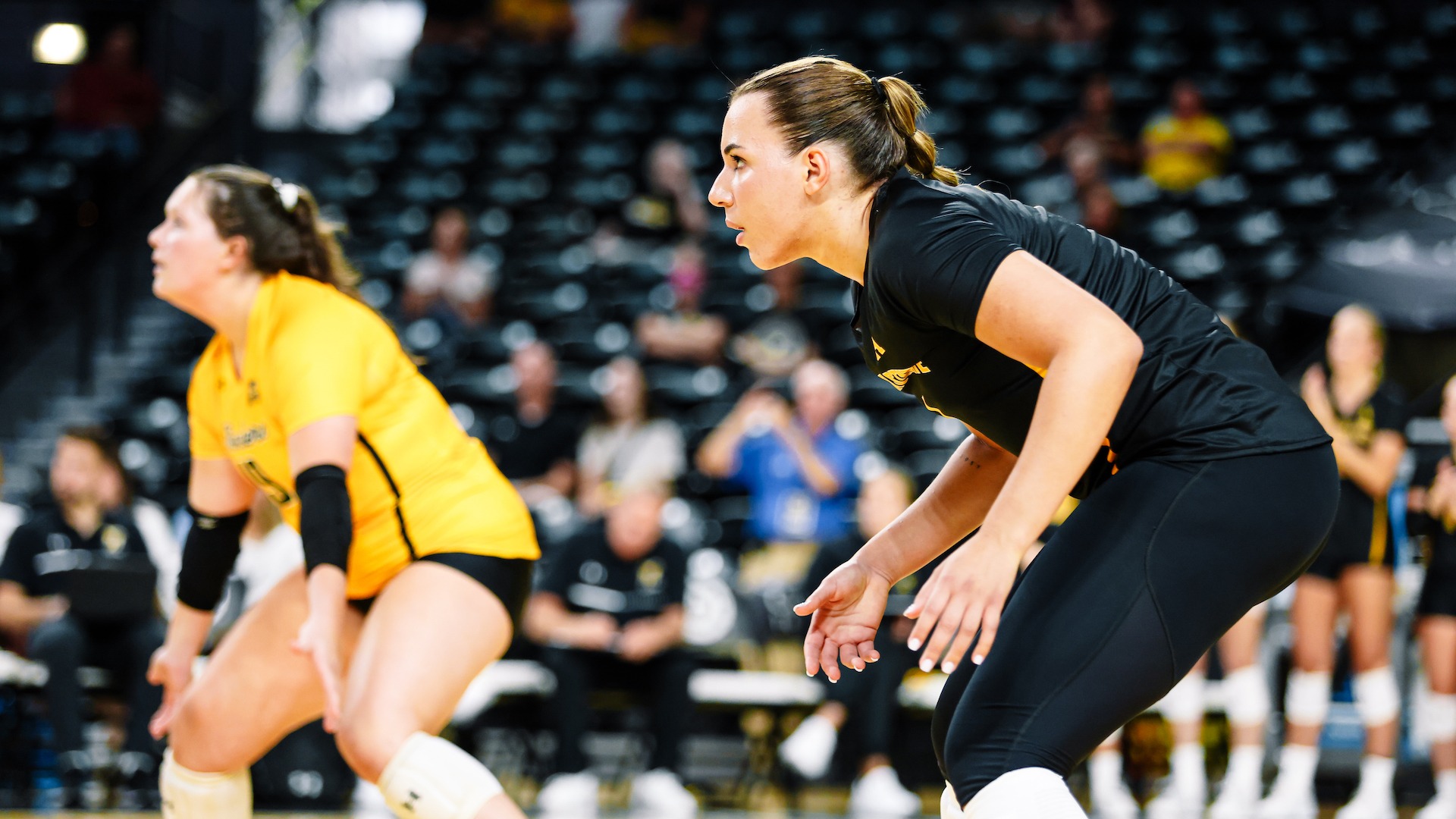 Barbara Koehler - Volleyball - Wichita State Athletics