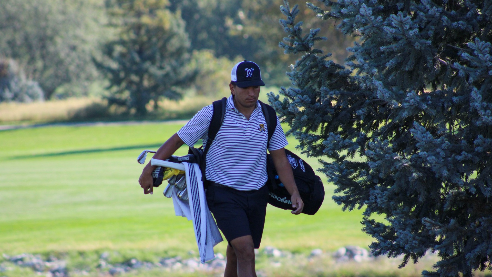 Aston Castillo - Men's Golf - Wichita State Athletics