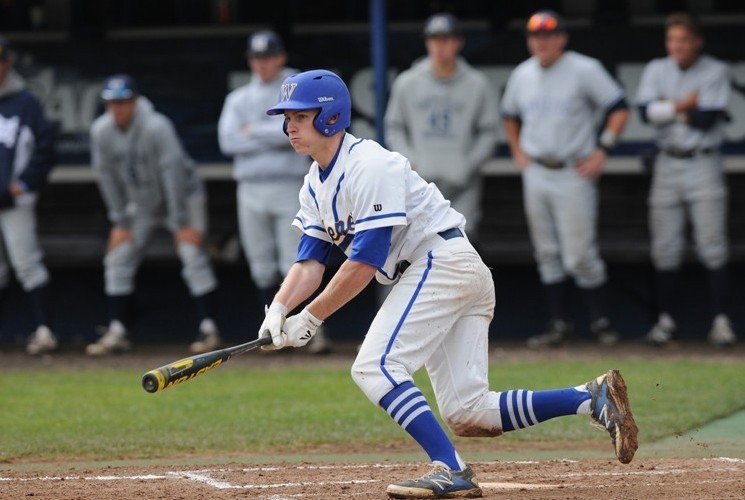 Justin Healey - 2017 - Baseball - Widener University Athletics