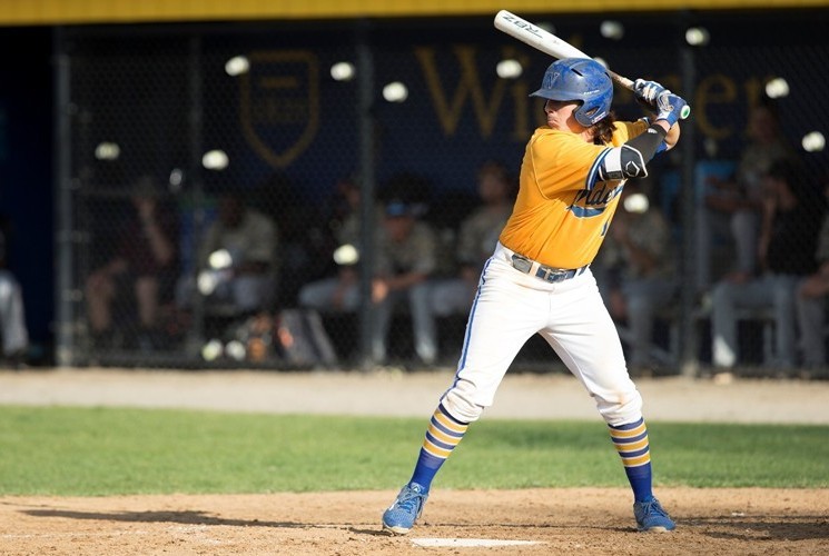 Mike Elfreth - 2017 - Baseball - Widener University Athletics