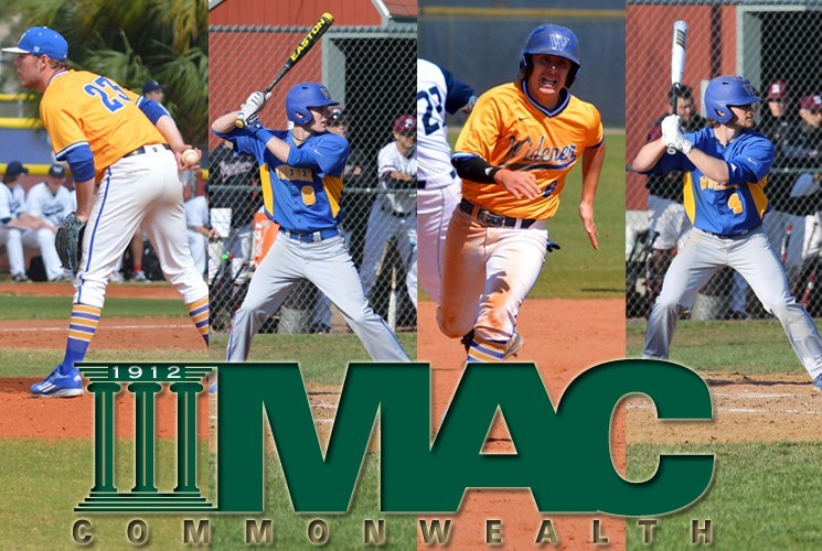 Justin Healey - 2017 - Baseball - Widener University Athletics