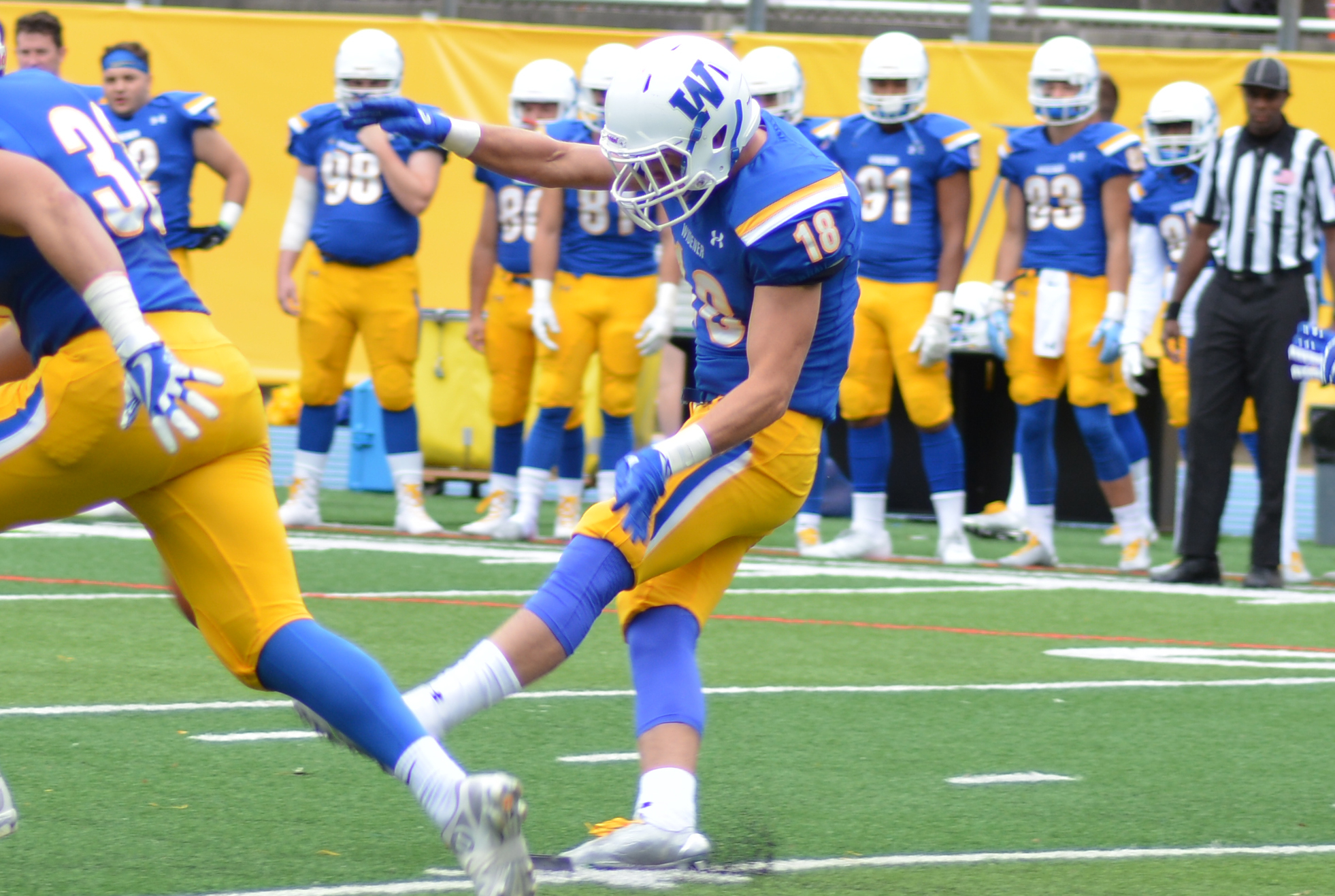 Ryan Gallagher - 2019 - Football - Widener University Athletics