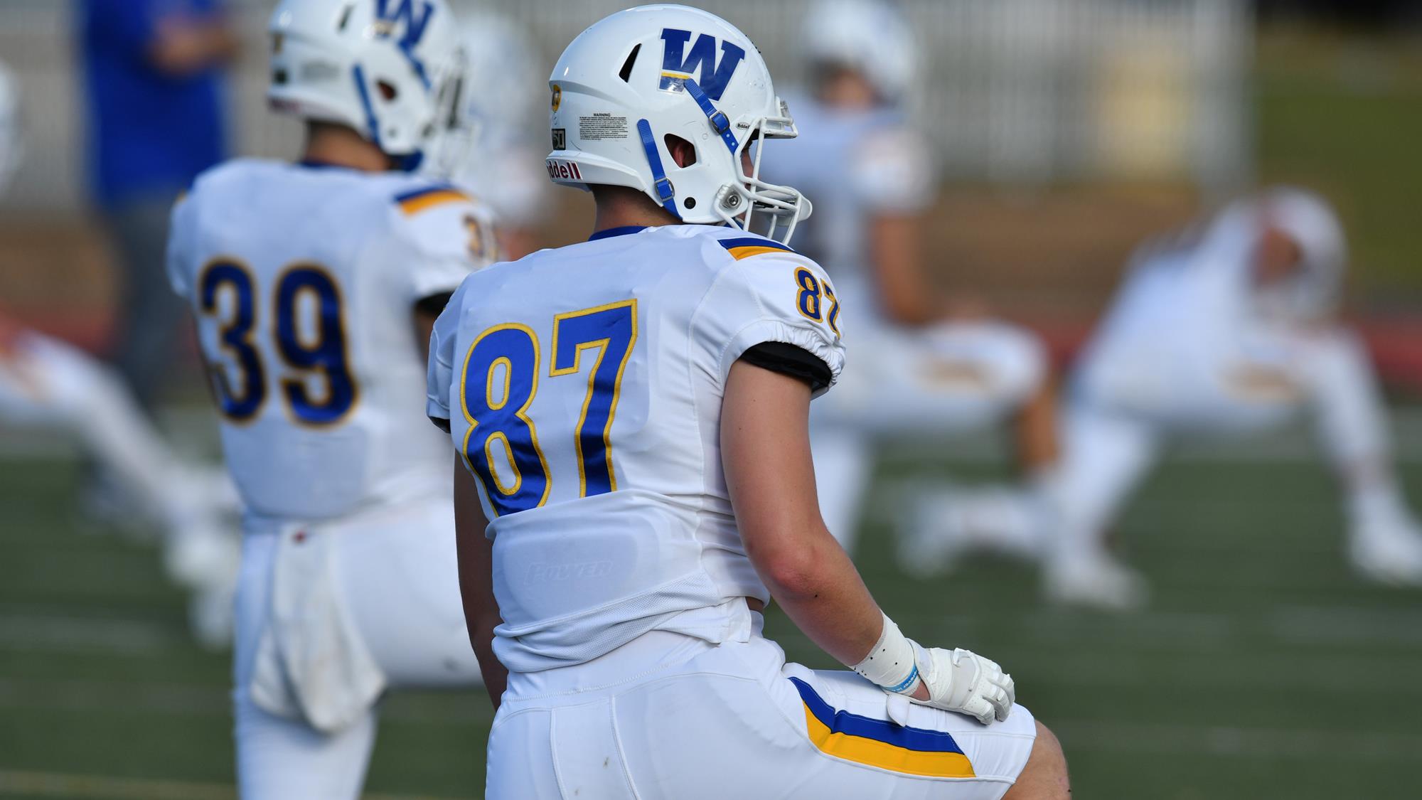 Ryan Maloney - 2019 - Football - Widener University Athletics