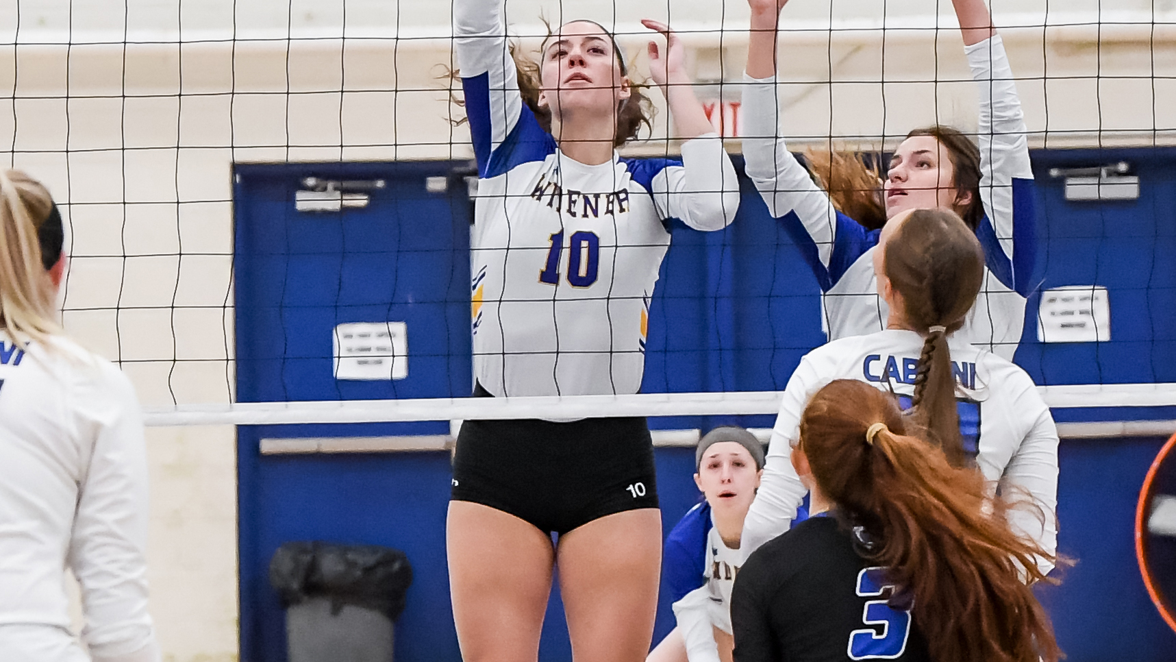 Claire Kaufmann - 2020-21 - Women's Volleyball - Widener University ...