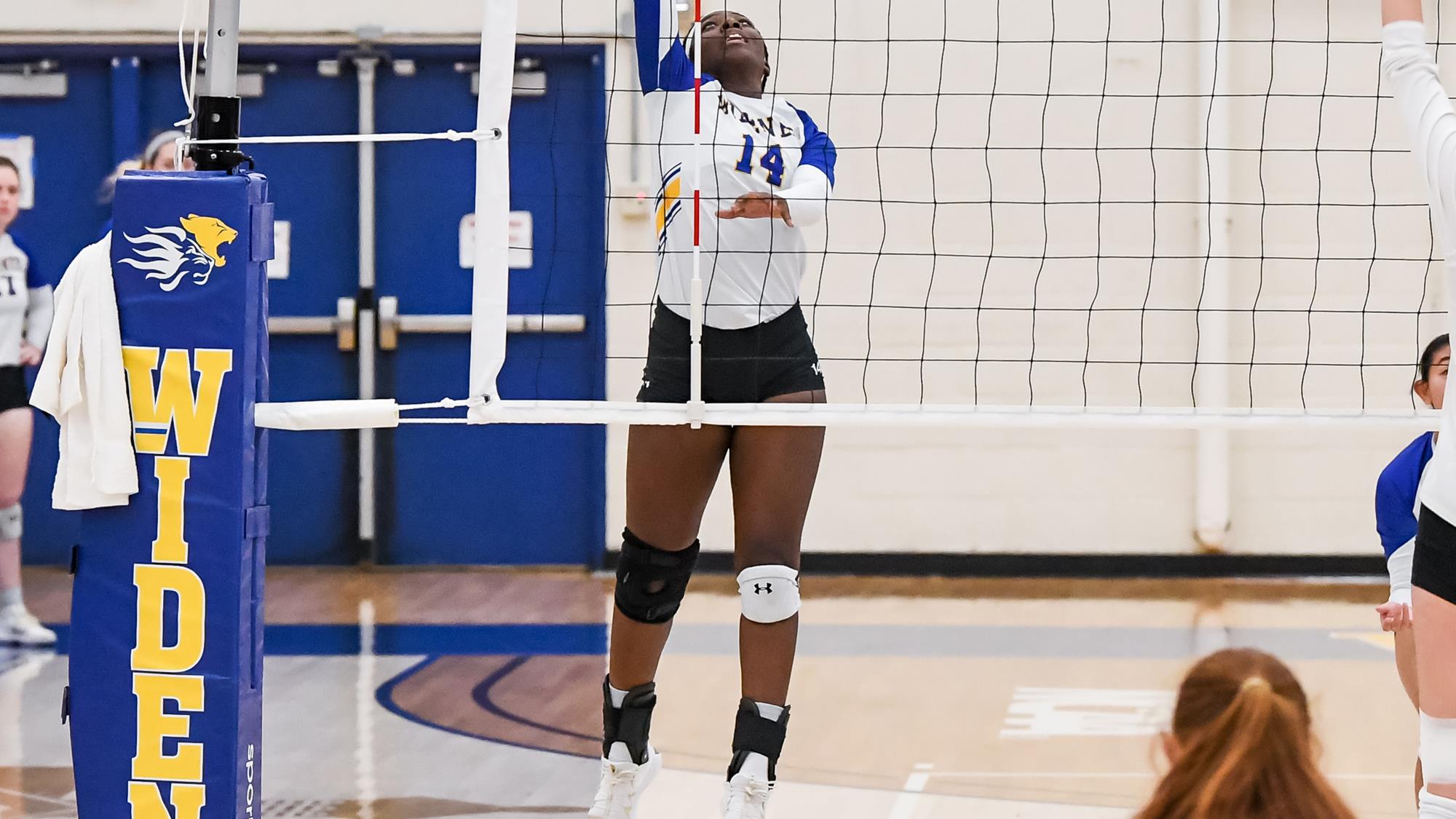 Alnisha Saintilus - 2021 - Women's Volleyball - Widener University ...