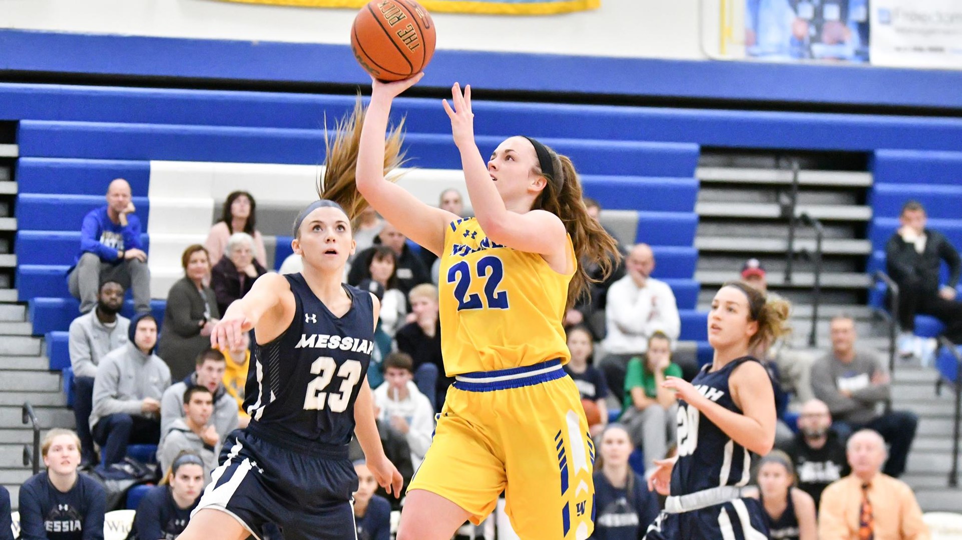 Devan Rimmer - 2019-20 - Women's Basketball - Widener University Athletics