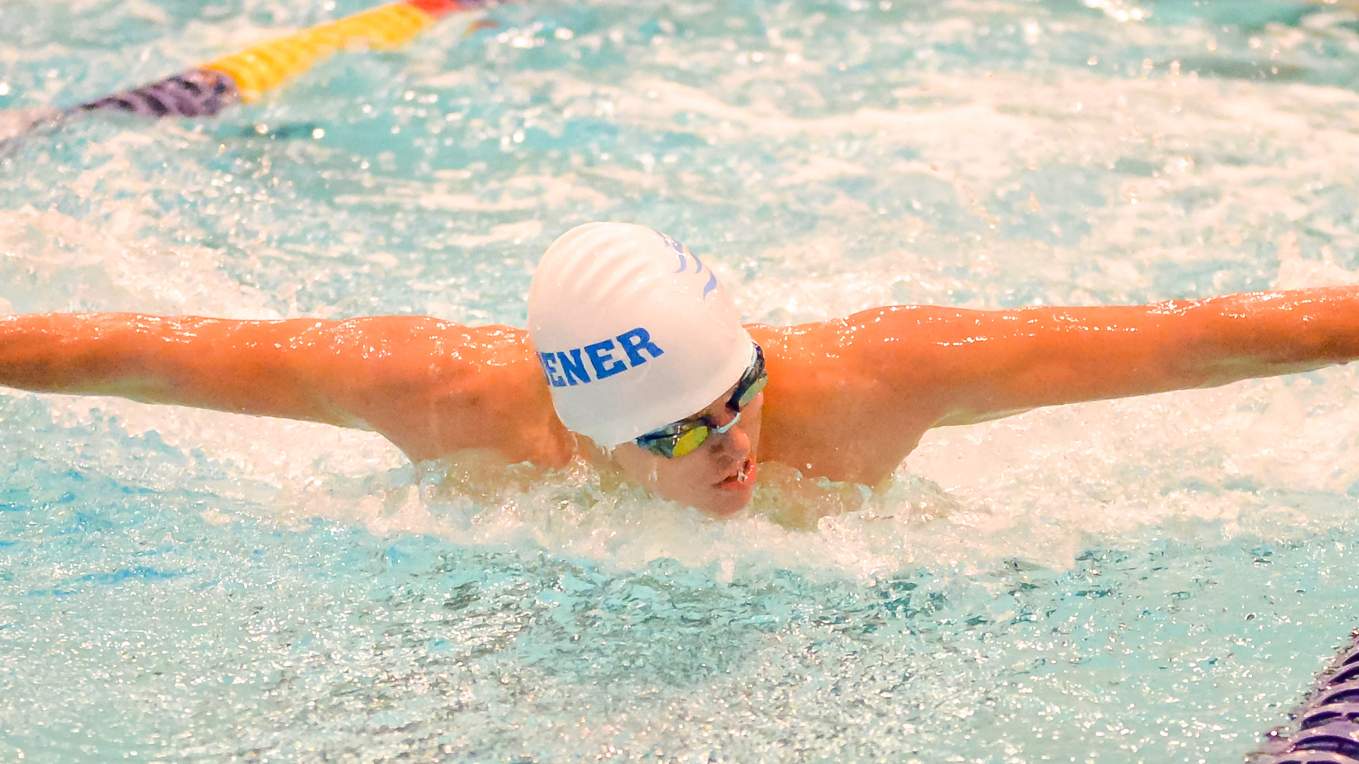 Daniel Parker - 2021-22 - Men's Swimming - Widener University Athletics