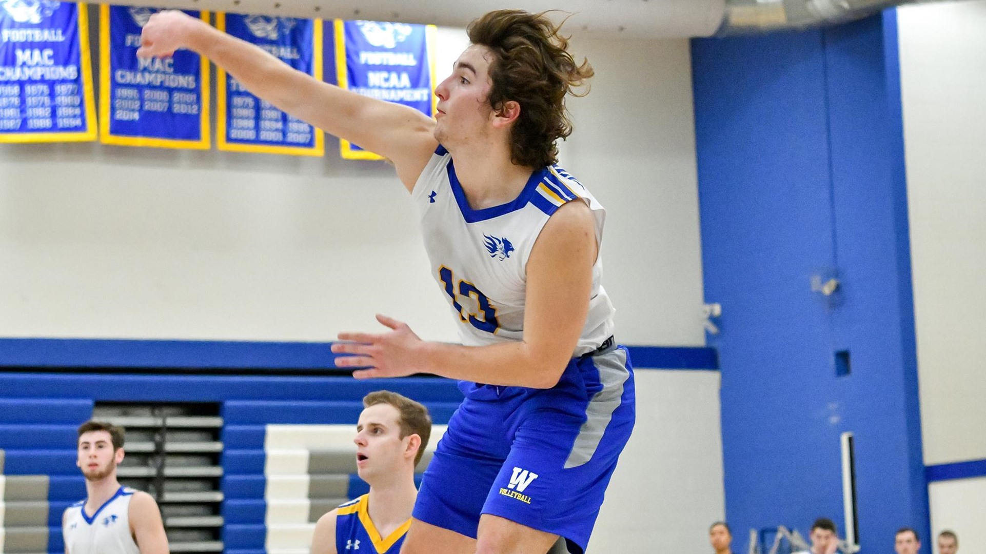 Wil Cacciatore - 2020 - Men's Volleyball - Widener University Athletics