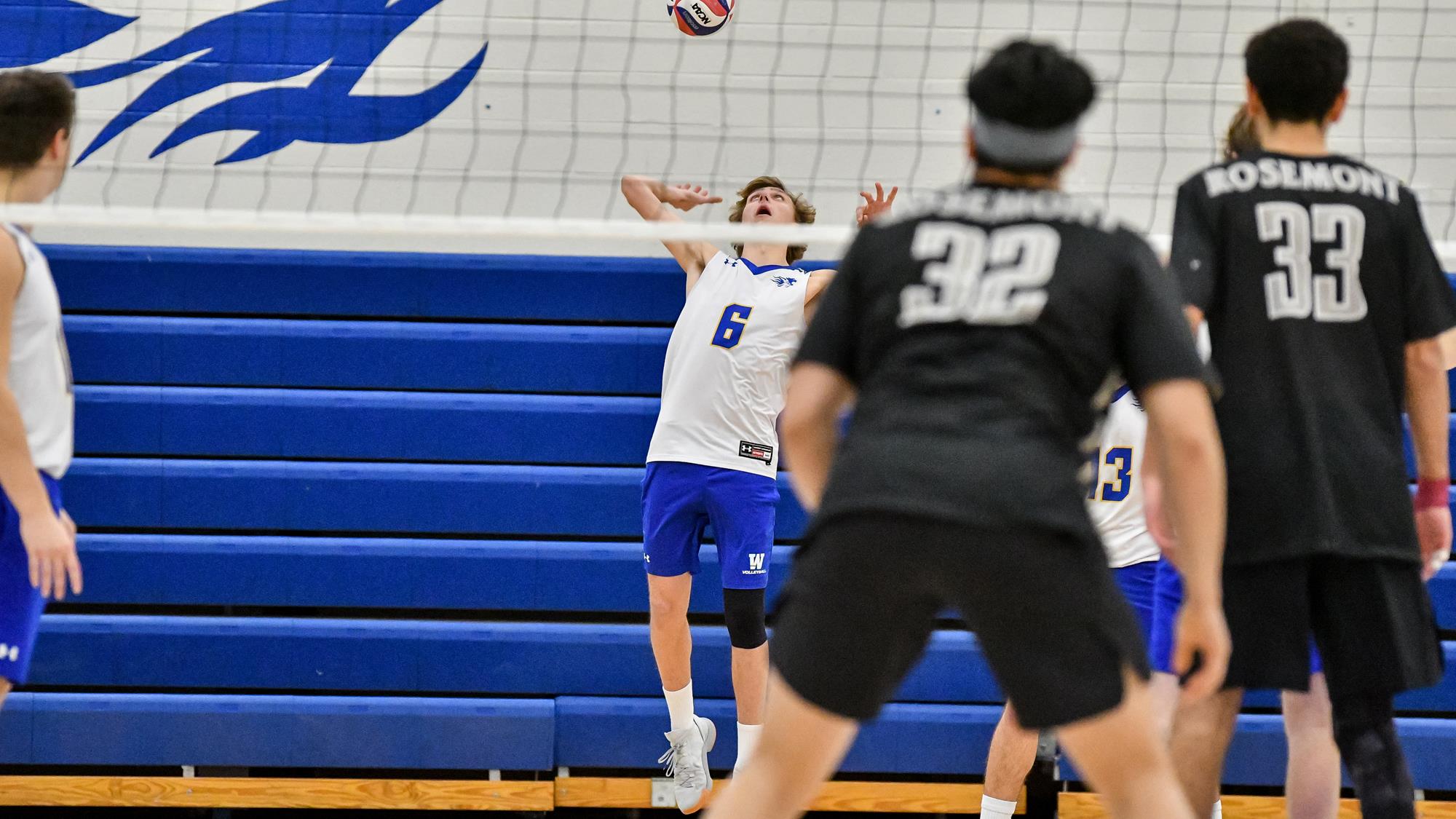 Dylan Beer - 2023 - Men's Volleyball - Widener University Athletics