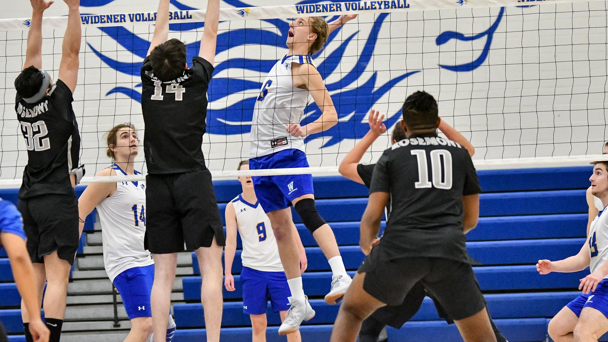 Dylan Beer - 2023 - Men's Volleyball - Widener University Athletics