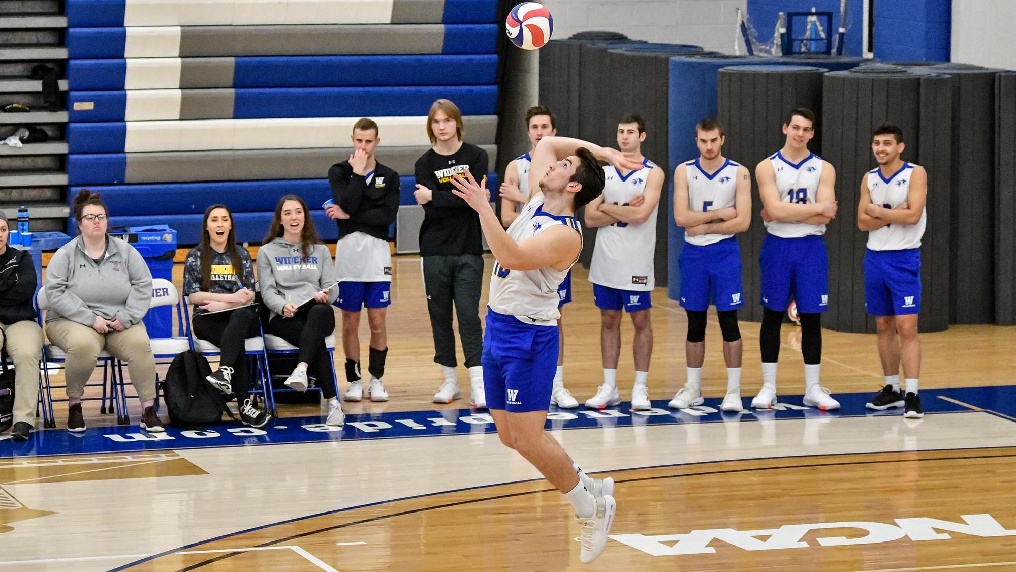 Wil Cacciatore - 2020 - Men's Volleyball - Widener University Athletics