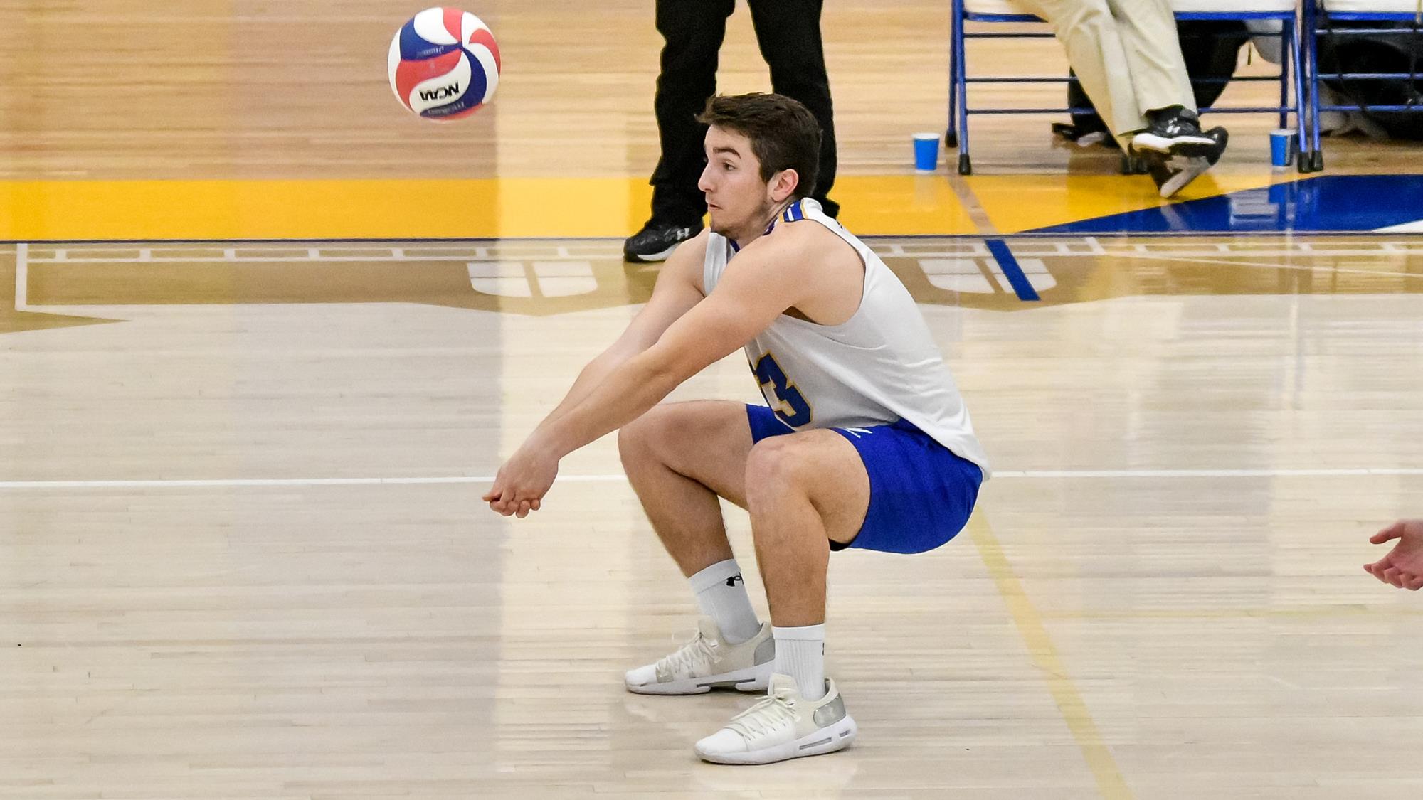 Wil Cacciatore - 2020 - Men's Volleyball - Widener University Athletics