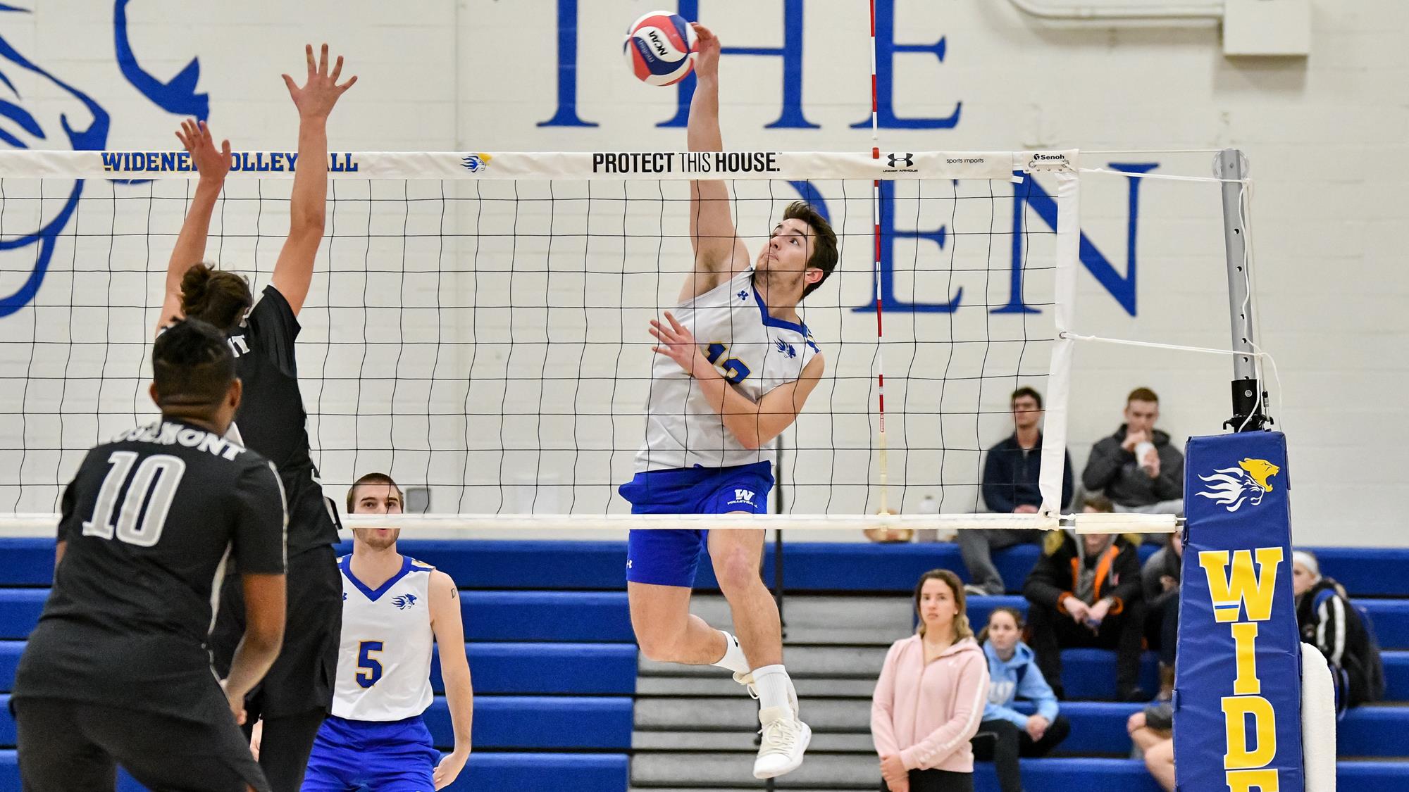 Wil Cacciatore - 2020 - Men's Volleyball - Widener University Athletics